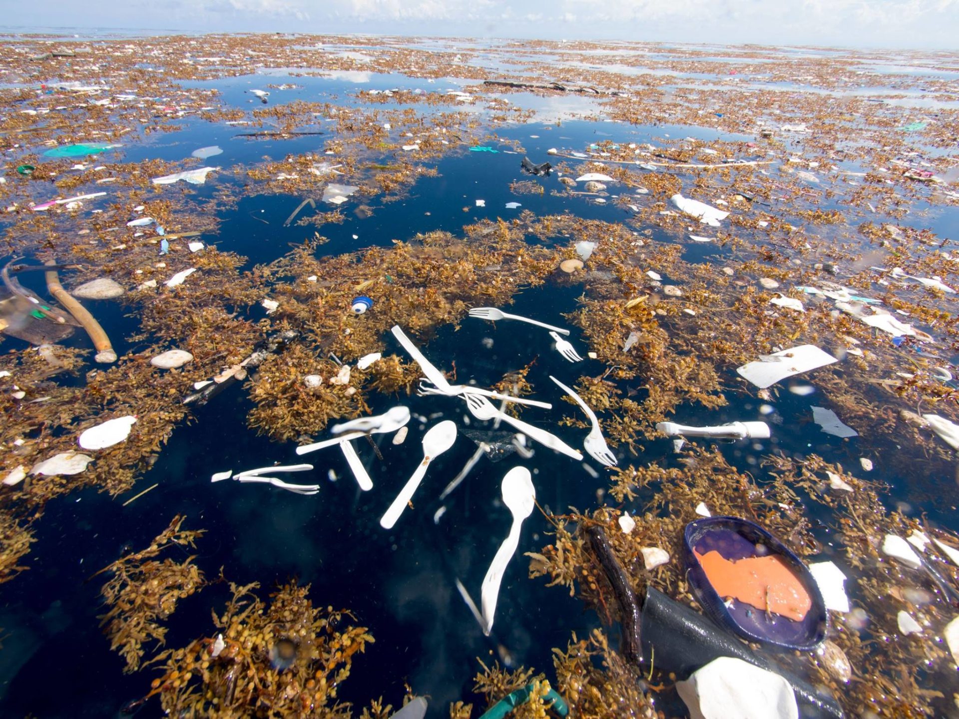 Los plásticos descartables contaminan las playas del Caribe | Virtual ...